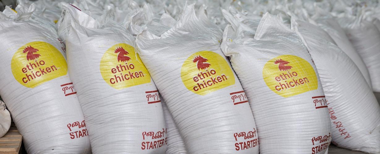 KUKU Poultry Marketing System | Kuku.et